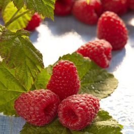 Buy Raspberry Meeker affordable | Gardens4you.ie