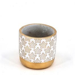 Buy Pot Stars gold white 11 cm affordable | Gardens4you.ie